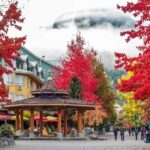 Whistler: Sea to Sky Gondola, Shannon & Brandywine Falls - Shannon Falls — A Majestic Waterfall
