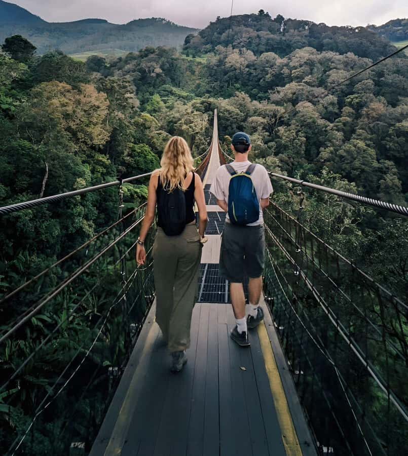 White Crater, Tea Field, Suspension Bridge & Hot Spring Tour - Transportation & Comfort