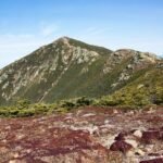 White Mountains Full Day Private Tour & Hike - FAQs