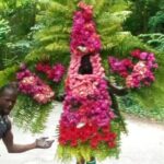 White River Tubing and OchoRios Highlight View Scenic Fern Gully - What’s Included and What’s Not