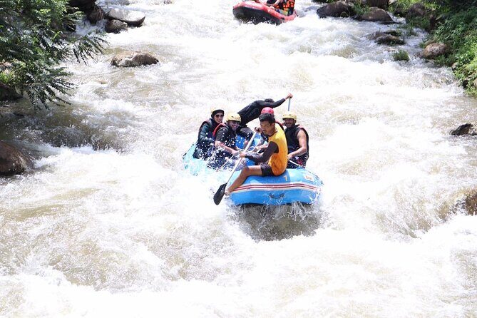 White Water Rafting with Monkey Cave Experience from Phuket - What Youll Experience