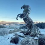 Whitehorse 3 Day Aurora Tour Wildlife Preserve and Hot Springs - Nighttime Aurora Viewings: The Real Highlight