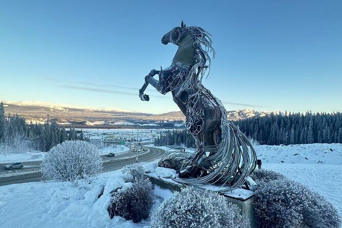 Whitehorse 3 Day Aurora Tour Wildlife Preserve and Hot Springs - Nighttime Aurora Viewings: The Real Highlight