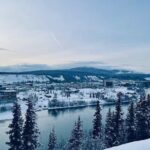 Whitehorse 4 Day Aurora Tour Wildlife Preserve and Hot Springs - Practical Tips for Potential Travelers