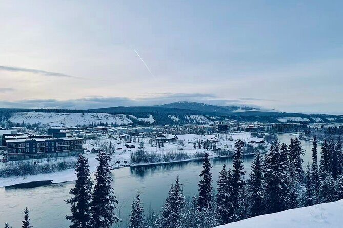 Whitehorse 4 Day Aurora Tour Wildlife Preserve and Hot Springs - Practical Tips for Potential Travelers
