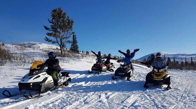 Whitehorse: Snowmobile Tour on the Dawson Overland Trail - Who Will Love This Tour?