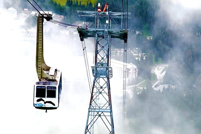 Whittier to Anchorage Cruise Transfer Wildlife Center and Tram - Why This Tour Works for Travelers