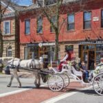 Wickford Horse Drawn Carriage Ride - Who Will Love This Experience?