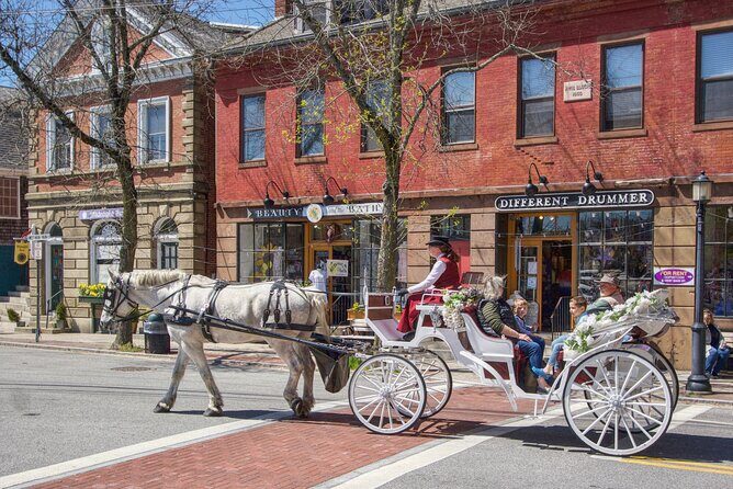 Wickford Horse Drawn Carriage Ride - Who Will Love This Experience?