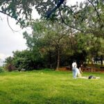 Wild Agaves Hiking Experience in Oaxaca - Who Will Love This Tour?