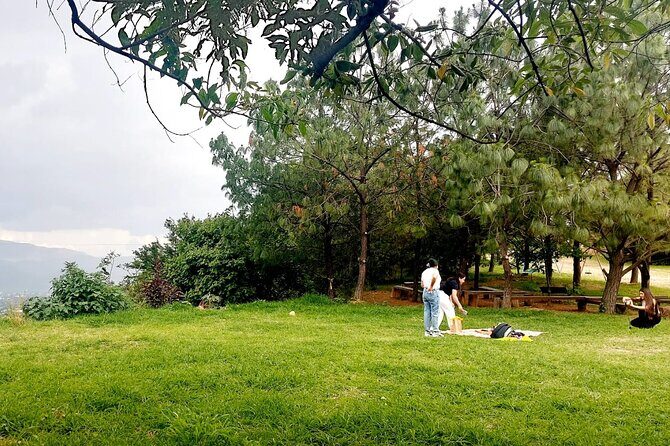 Wild Agaves Hiking Experience in Oaxaca - Who Will Love This Tour?