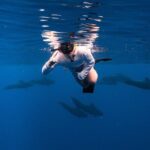 Wild Dolphin Swim, Turtle, Whale Safari with Guided Snorkeling - Final Thoughts