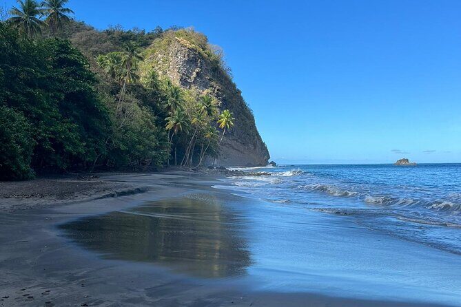 Wild Immersion: Hiking in the Heart of the Rainforest - Who Will Love This Tour?