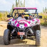 Wild Side UTV Tour: Explore the Northern treasure - The Value of the Experience