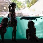 Wilder Institute/Calgary Zoo Entry Ticket - Wrapping It Up: Is It Worth Your Time?