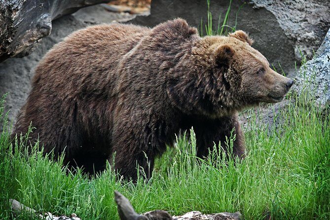 Wilder Institute/Calgary Zoo: Entry Ticket - A Closer Look at the Itinerary and Highlights