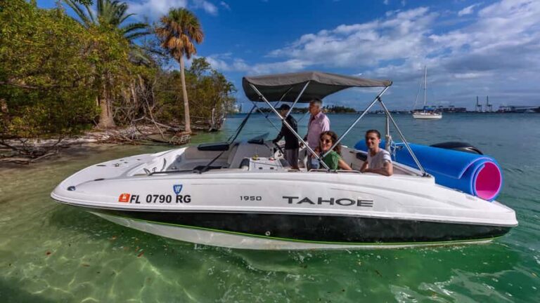 Wildlife Boat Tour & Racoon Island - The Practicalities: What to Expect and What to Bring