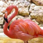 Wildlife Learning Adventure and Snorkeling in Akumal - Final Thoughts: Is This Tour Worth It?