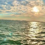 Wildlife Nature Cruise - 2.5 HR Eco Tour Anne Kolb State Park - An In-Depth Look at the Wildlife Nature Cruise