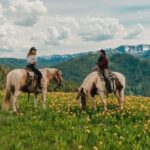 Willow Creeks Signature Half Day Ride with Lunch - Value and Price Consideration