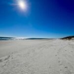 Wilmington, North Carolina: Tour of Masonboro Island - Why This Tour Offers Good Value
