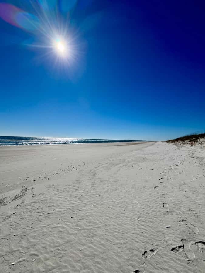 Wilmington, North Carolina: Tour of Masonboro Island - Why This Tour Offers Good Value