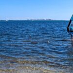 Windsurfing Adventure at Hobie Beach Miami - The Sum Up