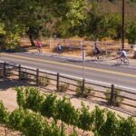 Wine Country Farm to Table Bike Tour w/Lunch - The Experience: What Travelers Are Saying