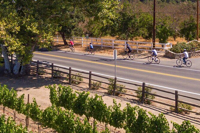 Wine Country Farm to Table Bike Tour w/Lunch - The Experience: What Travelers Are Saying