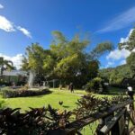 Wingfield Rainforest Hike St Kitts and Romney Manor Adventure - Cultural and Historic Highlights