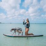 Wingfoiling Lessons in Aruba with IWO Certification - Meeting Point and Logistics