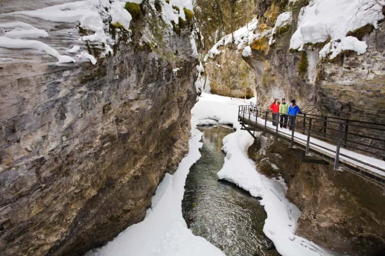 Winter Hikes, Gondolas, and Banff Day Trip - What We Loved About This Tour