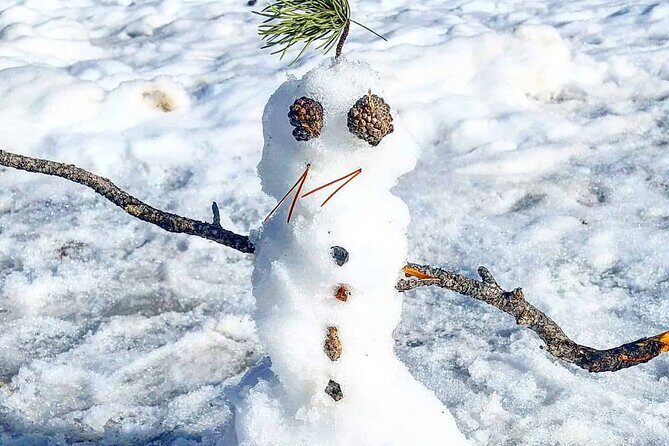 Winter on the Rocks with S'mores (Wildside 4x4 Tours) - Who Will Love This Tour?