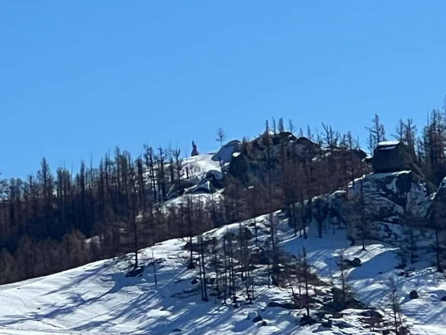 Winter tour: 2-Day Khustai & Terelj National Park Tour - What Makes This Tour Stand Out?