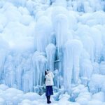 Winter Wonderland Healing Park and Gyeongju/Daegu Tour from Busan - Practical Details and What They Mean for You