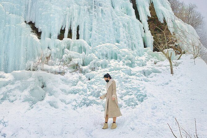 Wondae-ri Birch Forest and In-je Maebawi Icewall Full Day Tour - Who Will Enjoy This Experience?