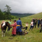 Wonders of Northern Mongolia 15 days - Transportation and Group Dynamics
