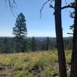 Woodland Park: Snowshoeing Guided Hike - What to Expect on the Trail