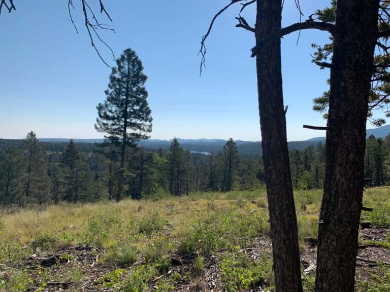 Woodland Park: Snowshoeing Guided Hike - What to Expect on the Trail