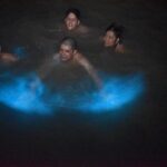 World famous Luminous lagoon Night tour with transportation - Analyzing the Value