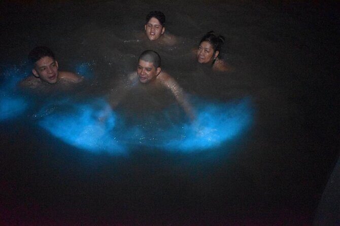 World famous Luminous lagoon Night tour with transportation - Analyzing the Value