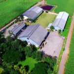 Worthy Park Estate Rum Tour from Ocho Rios - Who Will Appreciate This Tour?