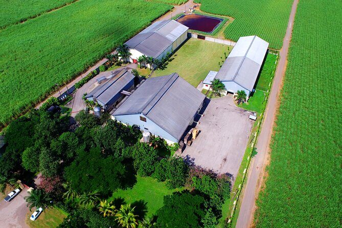 Worthy Park Estate Rum Tour from Ocho Rios - Who Will Appreciate This Tour?