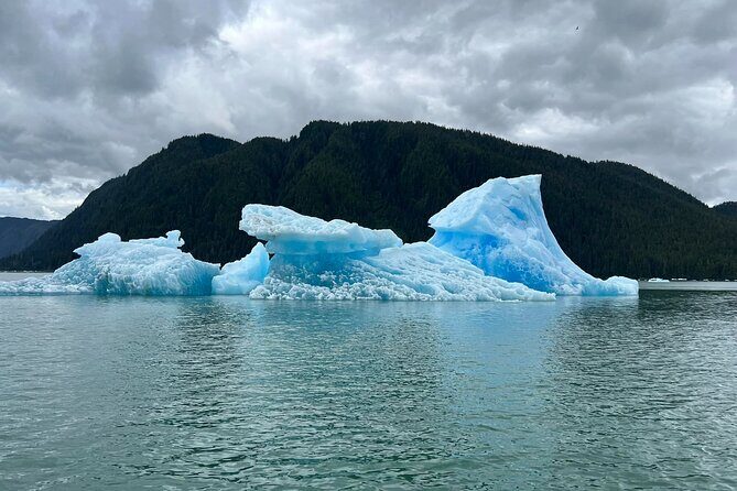 Wrangell Alaska Marine Sightseeing Tour - An In-Depth Look at the Tour Experience