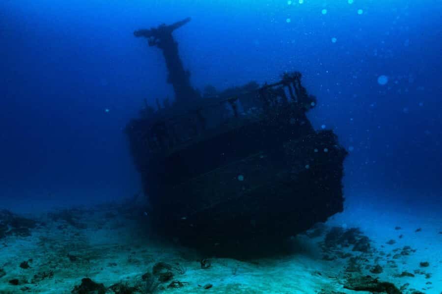 Wreck Dive in Playa del Carmen Dive Machine Experience - Final Thoughts: Who Will Enjoy This?