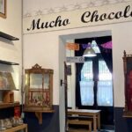 Wrestling Tour Party Heart CDMX - Who Should Consider This Tour?