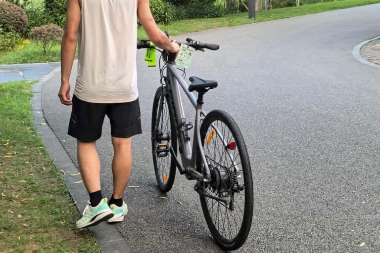 Wuhan: East Lake Guided Bike Tour with Gift Pack - The Sum Up