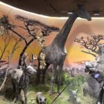 Wuhan: Hankou Night Tour with Craft Beer Tasting - An In-Depth Look at the Hankou Night Tour