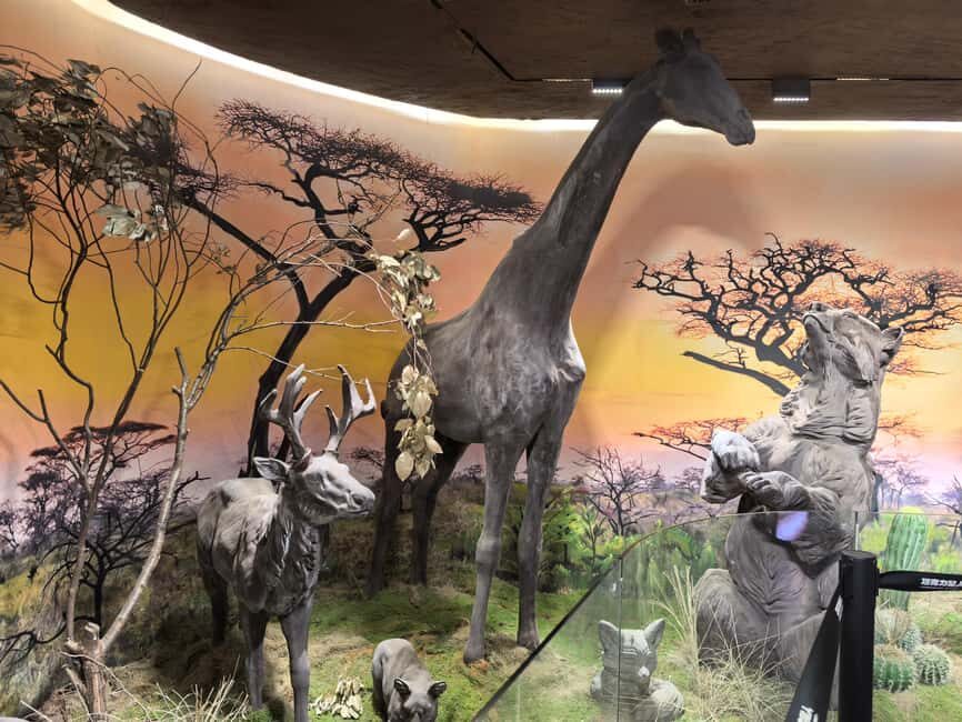 Wuhan: Hankou Night Tour with Craft Beer Tasting - An In-Depth Look at the Hankou Night Tour