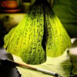 Xian: Hidden Alleys, Street Food, Handicrafts & City Wall - Practical Details and Why They Matter